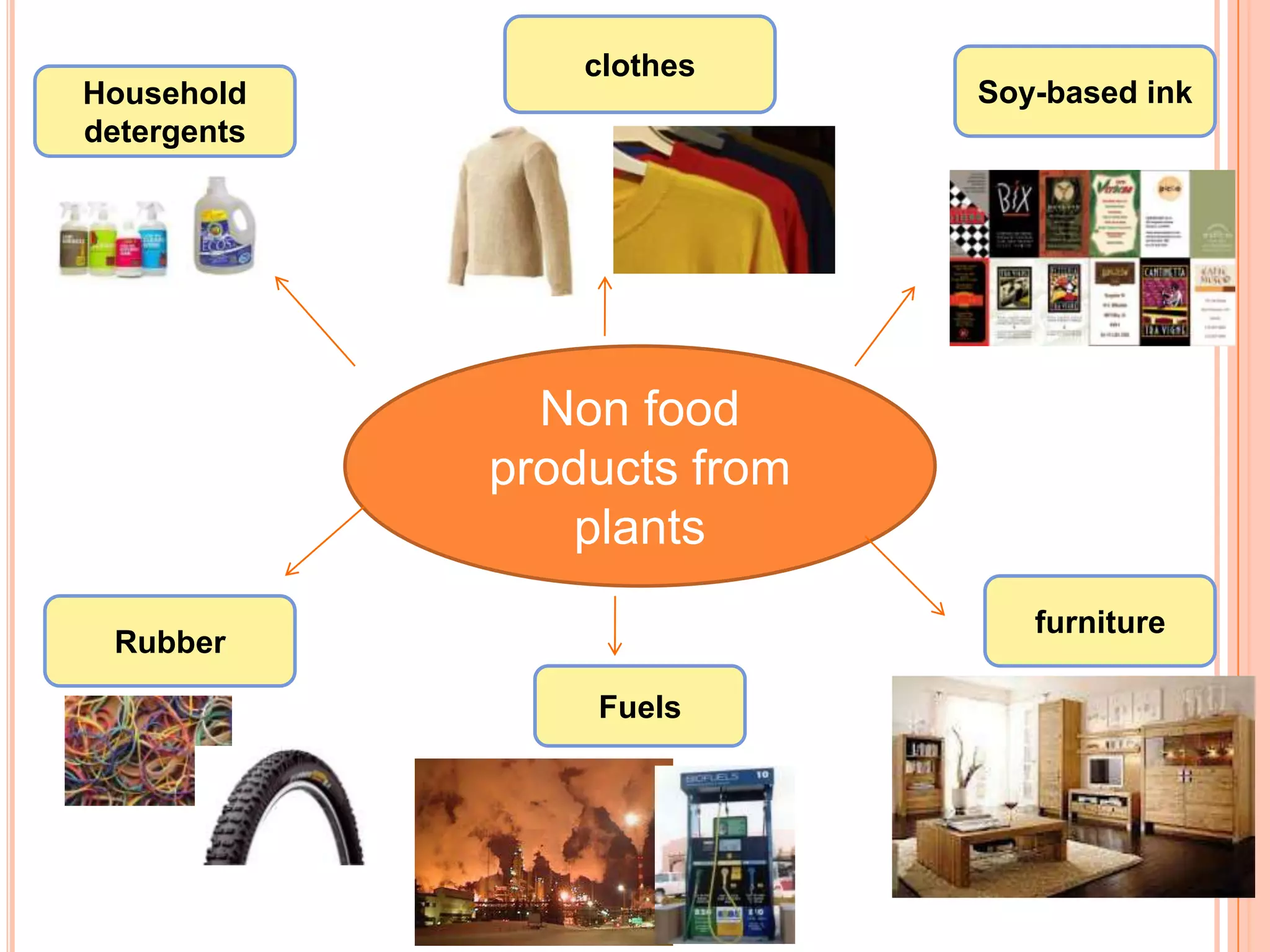 Non food products from plants | PPTX