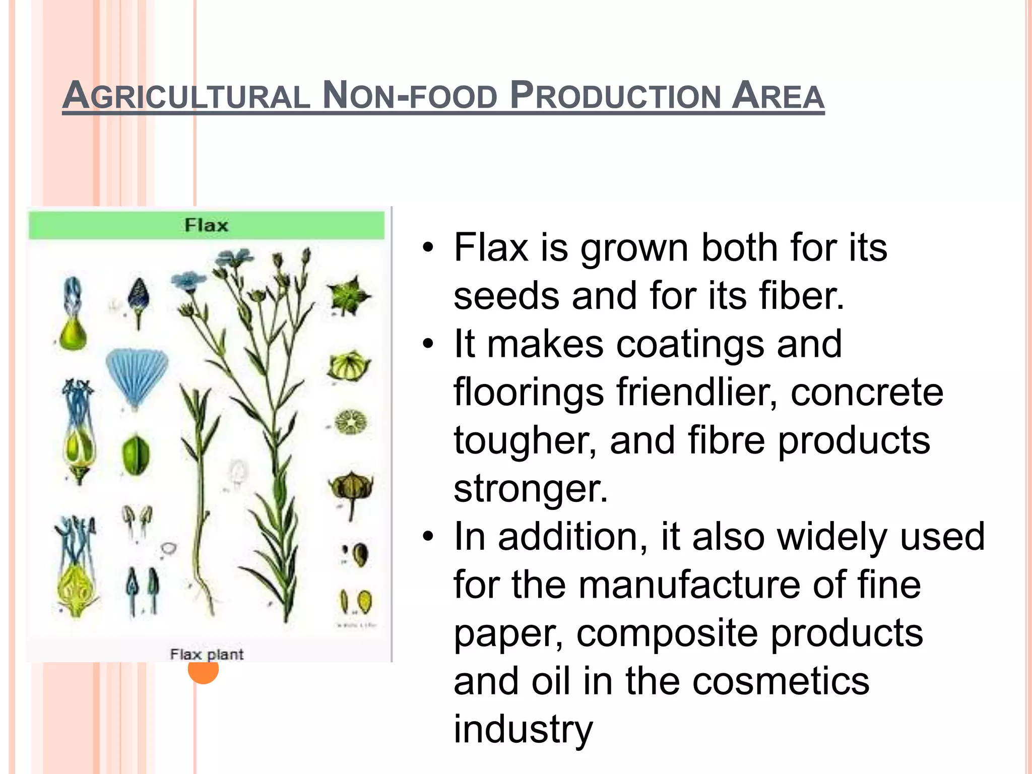 Non food products from plants | PPTX