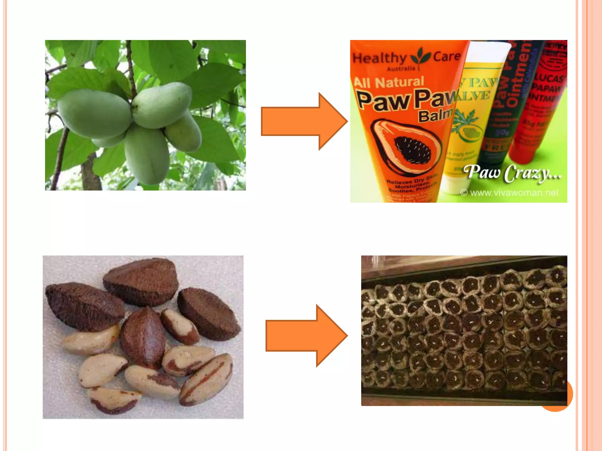 Non food products from plants | PPTX