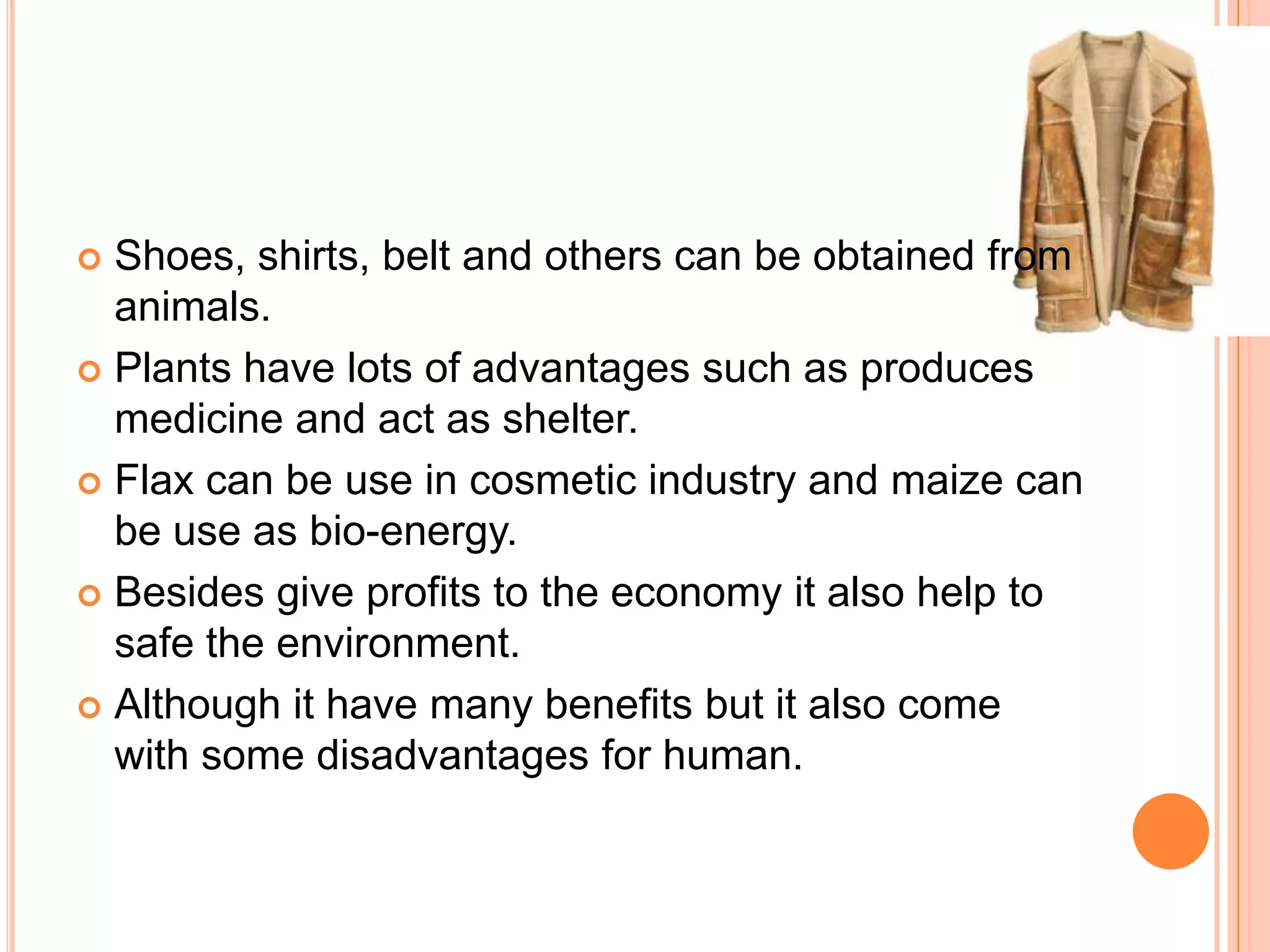 Non food products from plants | PPTX