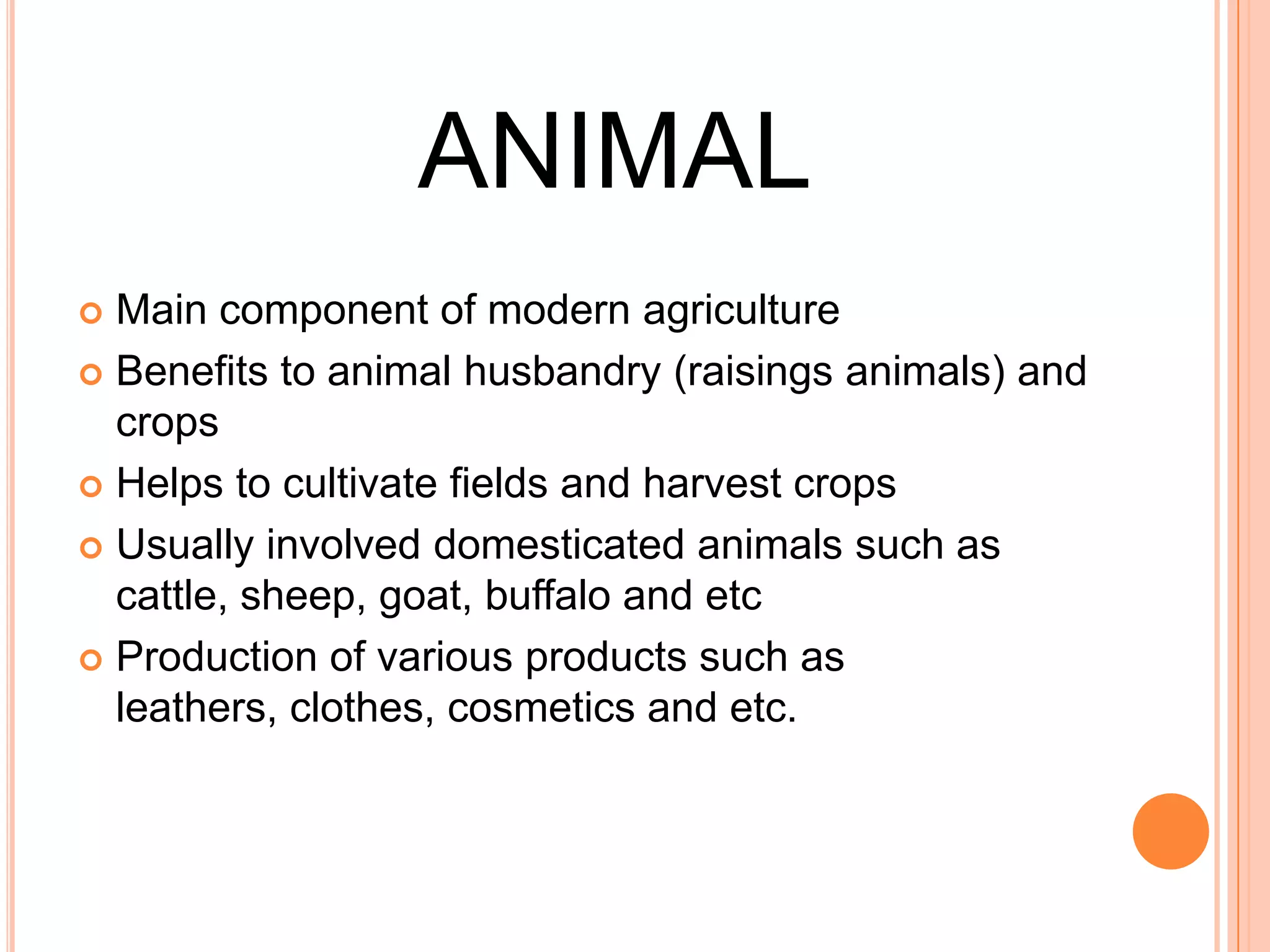 Non food products from plants | PPTX