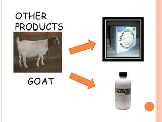 Non food products from plants | PPTX