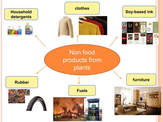 Non food products from plants | PPTX
