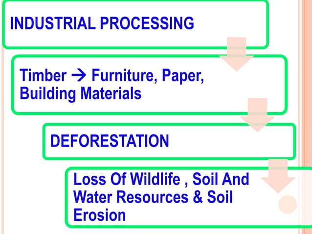 Non food products from plants | PPTX