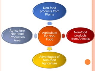 Non food products from plants | PPTX
