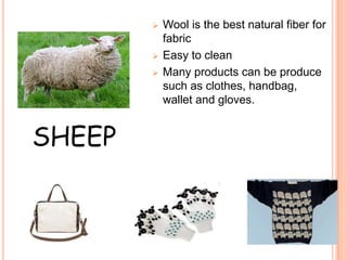 Non food products from plants | PPTX