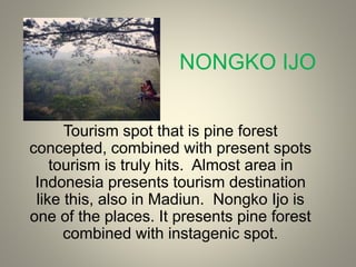 presentasi tugas 1 NONGKO IJO PP fix.pptx