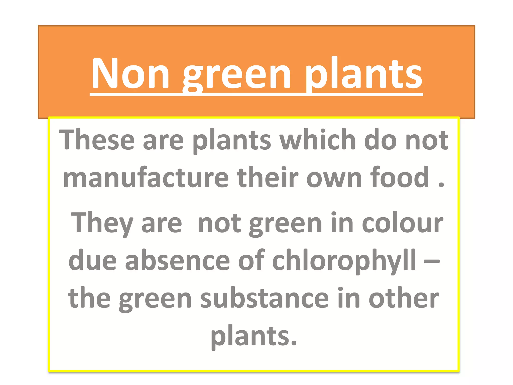 Non green plants | PPTX