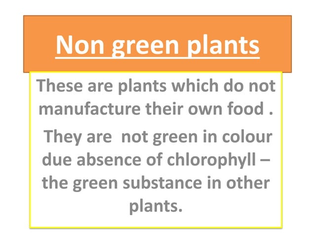 Non green plants | PPTX
