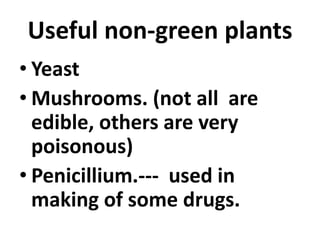 Non green plants | PPTX