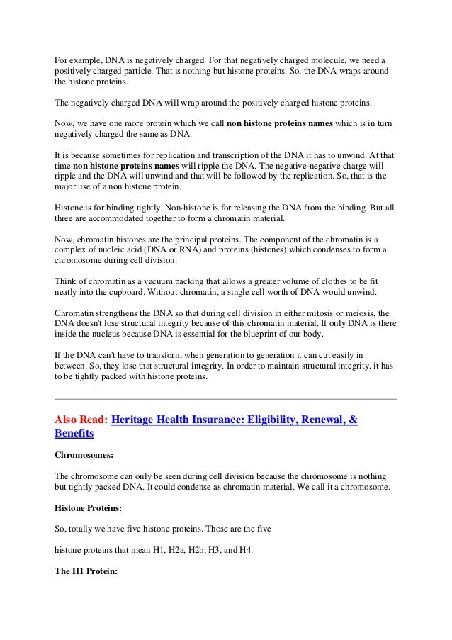 Non Histone Proteins Names, Differences and 4 Examples