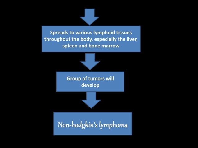 Non hodgkins lymphoma nandhu | PPTX | Blood Disorders | Diseases and Conditions