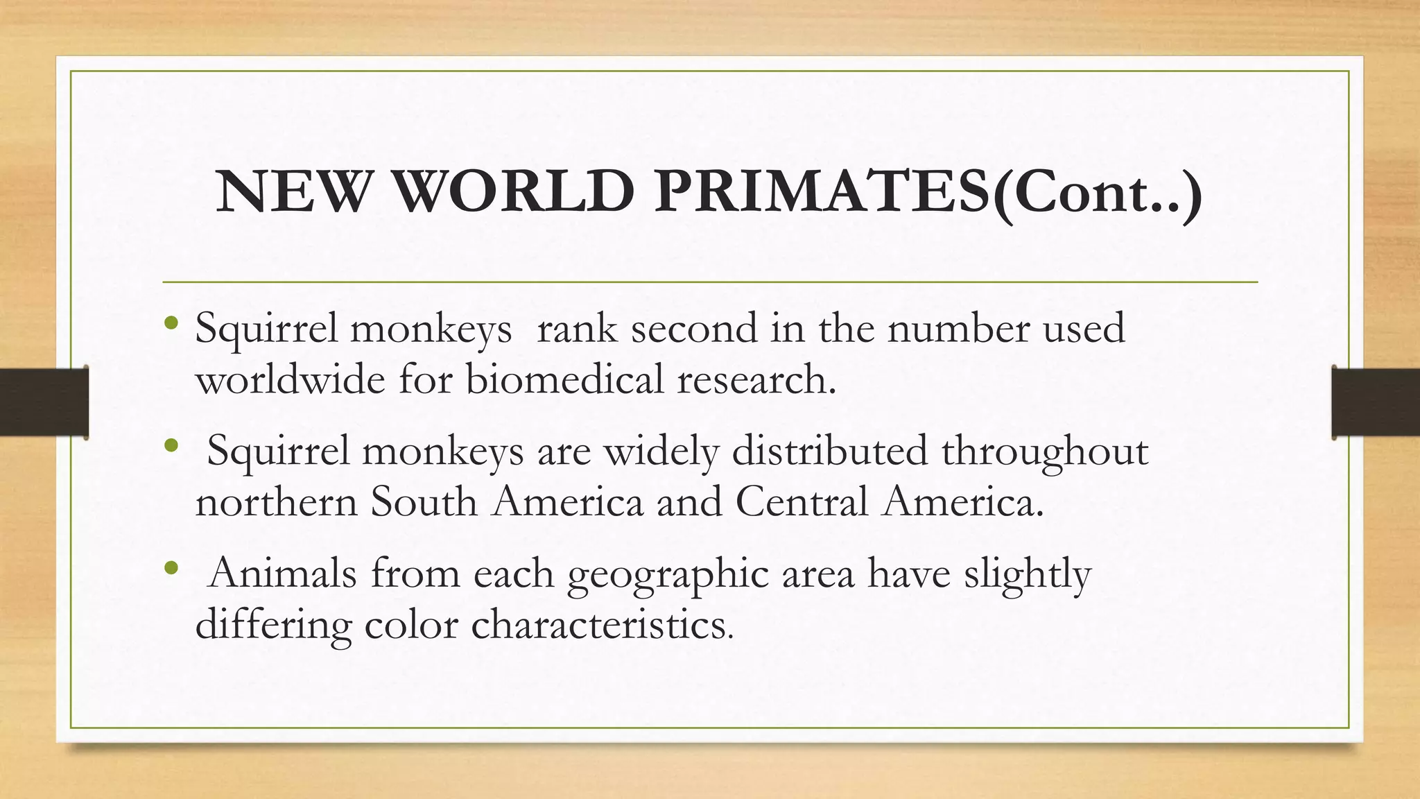 Nonhuman primates | PPTX