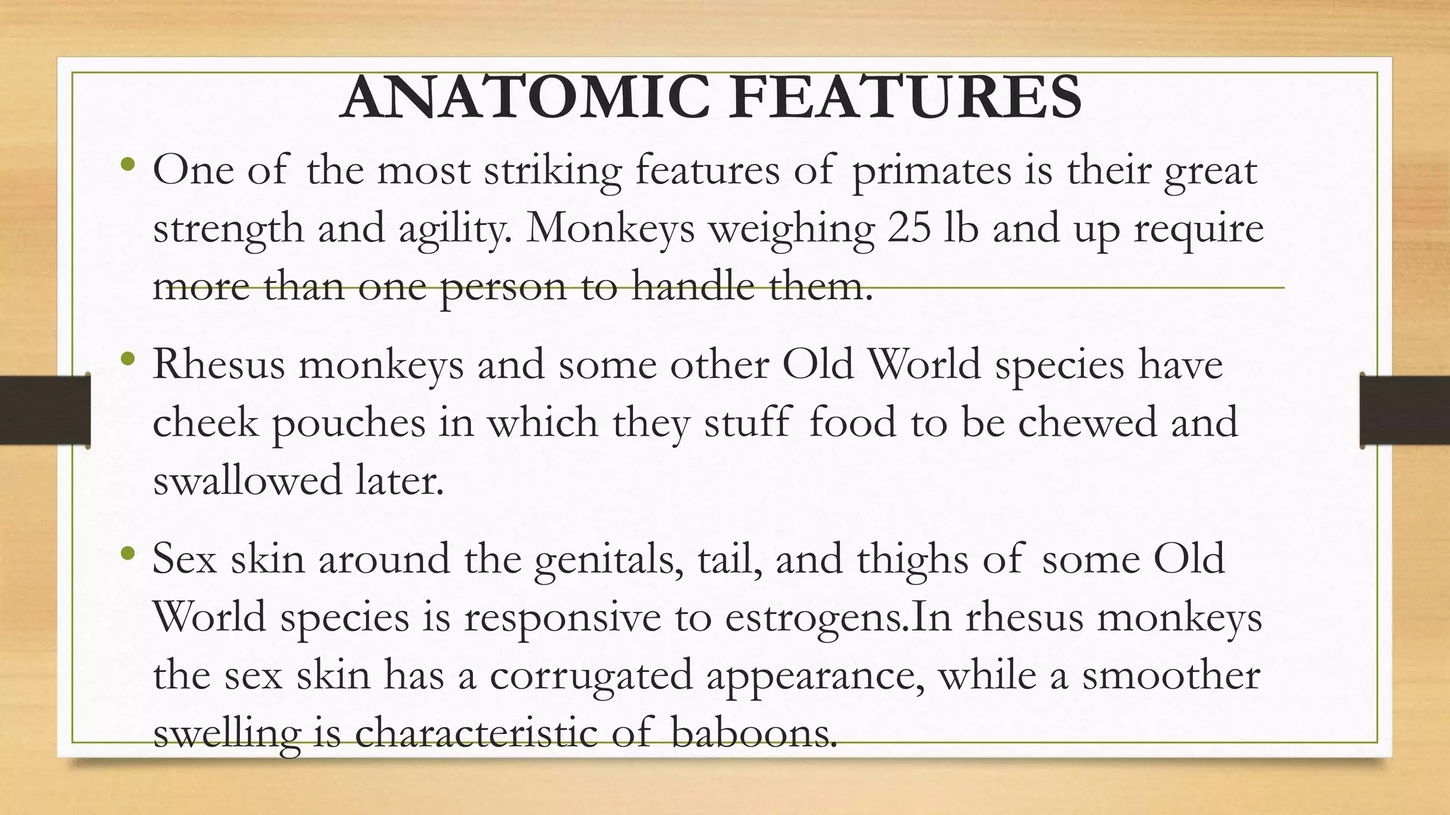 Nonhuman primates | PPTX