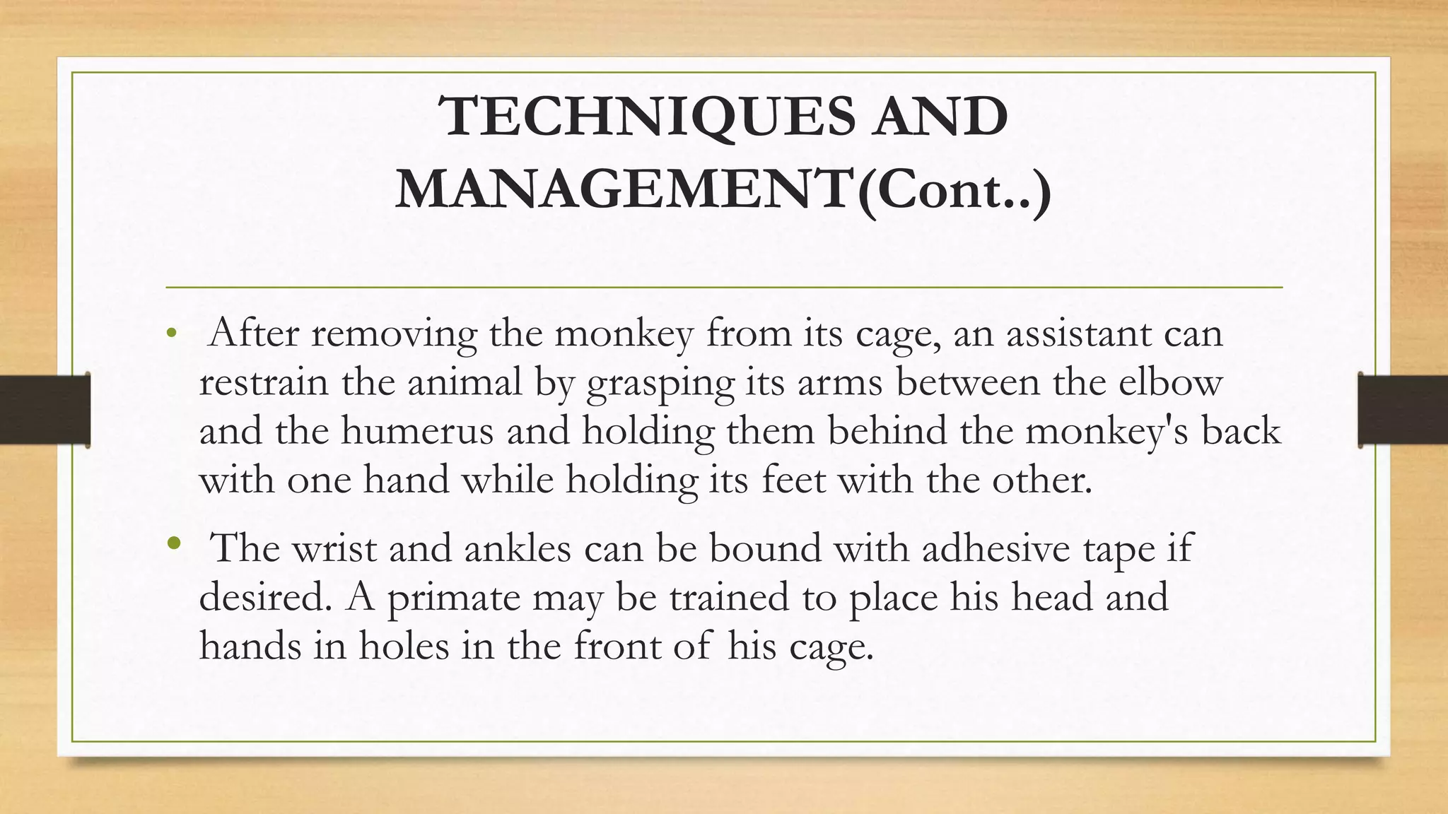Nonhuman primates | PPTX