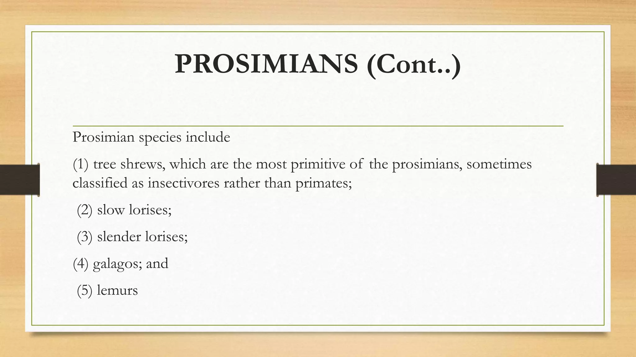 Nonhuman primates | PPTX