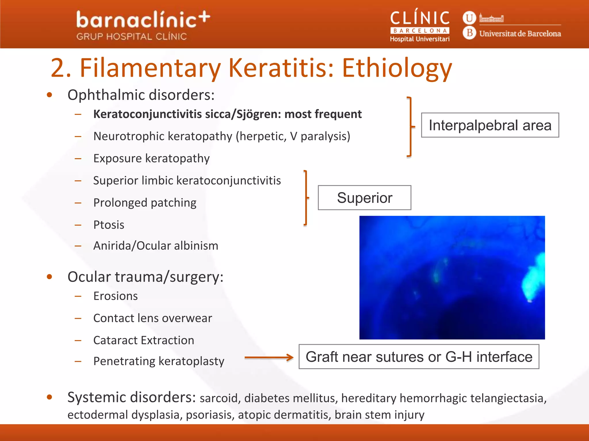 Noninfectious keratitis barnaclinic | PPTX