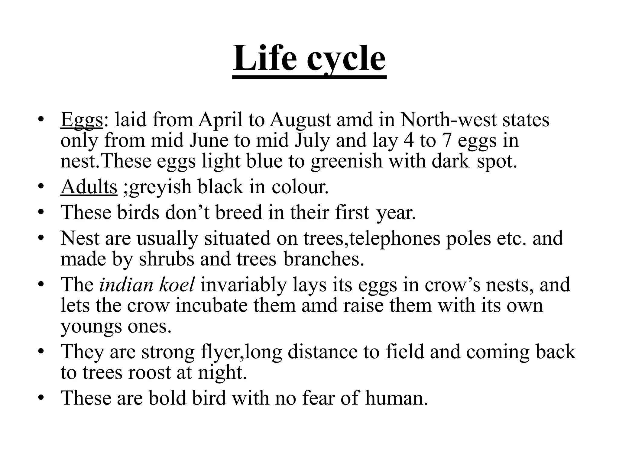 Non insect pest/ Entomolgy harmful pest | PPTX