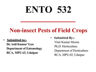 Non insect pest/ Entomolgy harmful pest | PPTX
