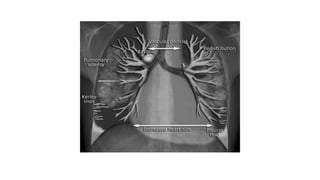 non invasive and invasive cardiac monitoring.pptx