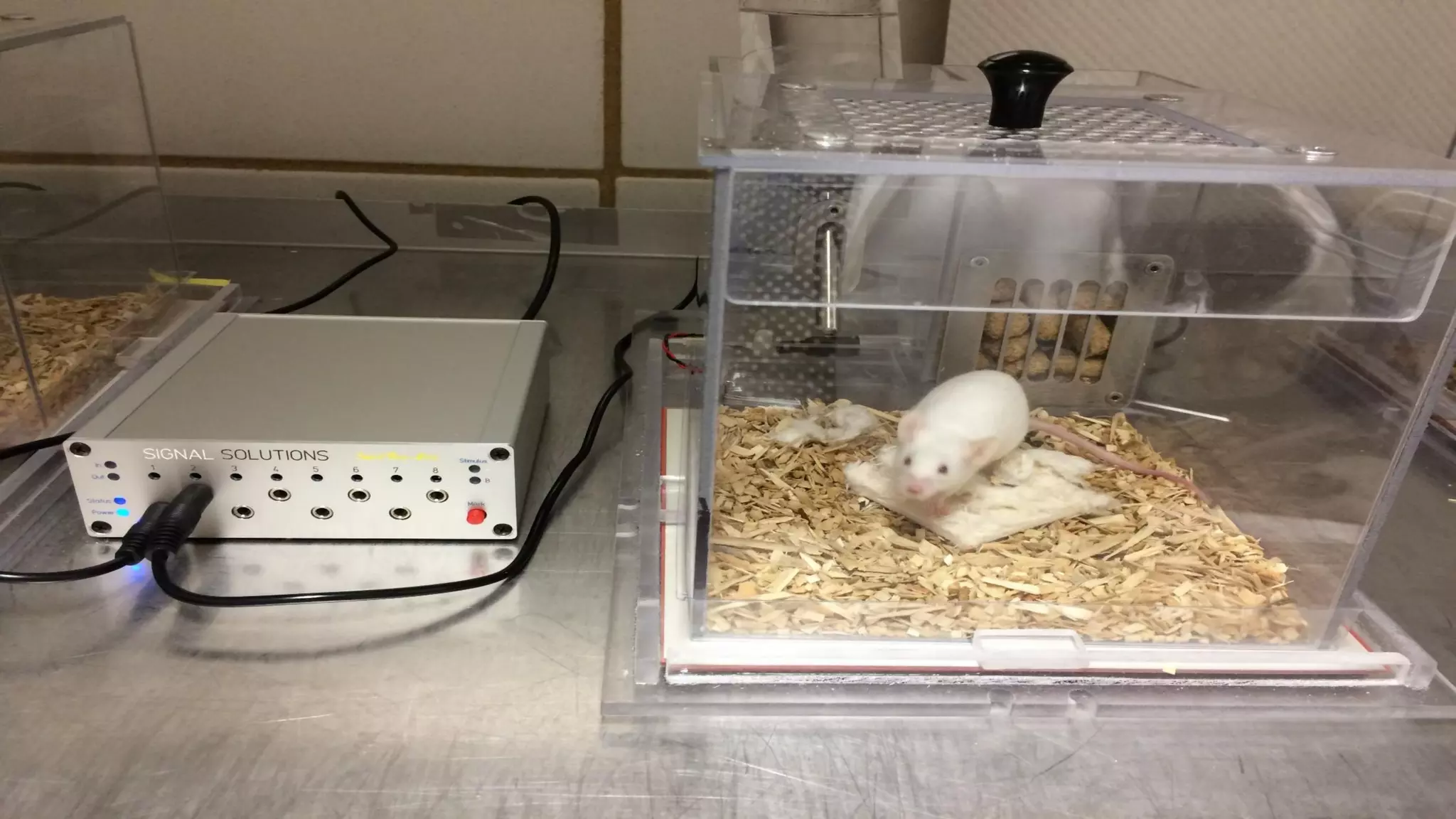 Noninvasive, Automated Measurement of Sleep, Wake and Breathing in ...