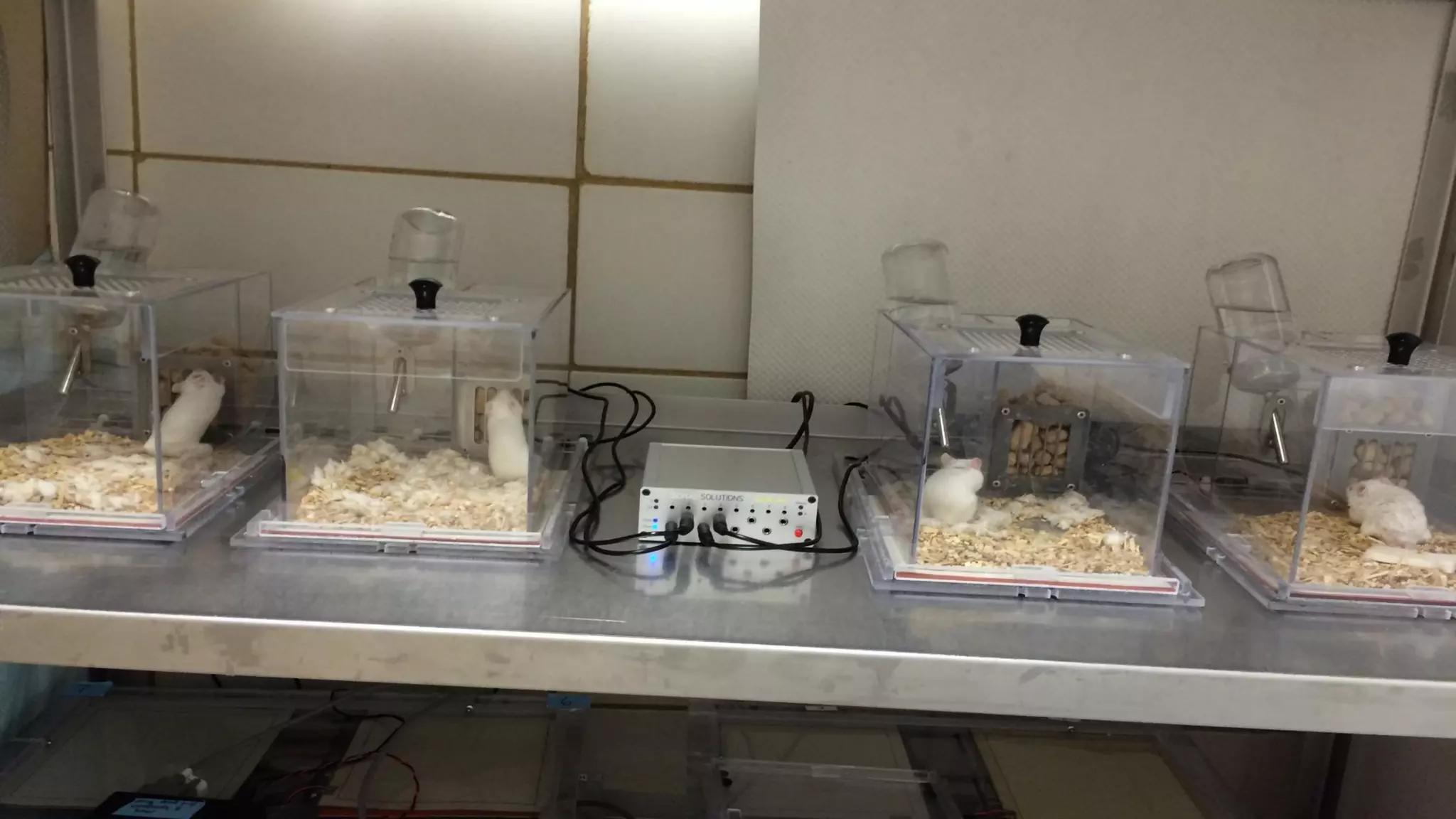 Noninvasive, Automated Measurement of Sleep, Wake and Breathing in ...