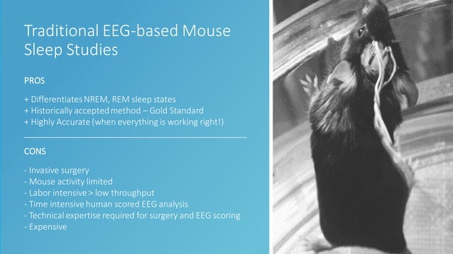 Noninvasive, Automated Measurement of Sleep, Wake and Breathing in ...