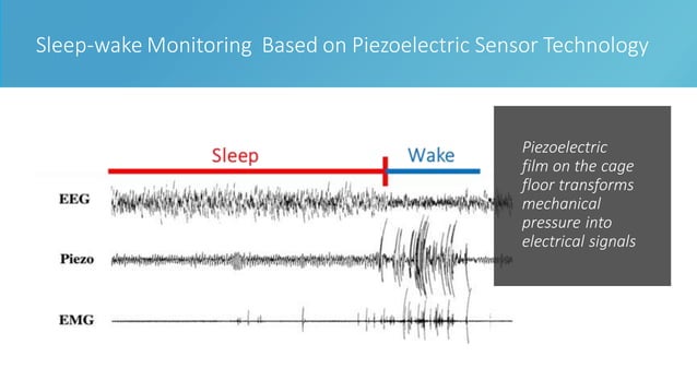 Noninvasive, Automated Measurement of Sleep, Wake and Breathing in ...