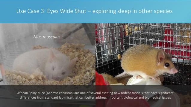 Noninvasive, Automated Measurement of Sleep, Wake and Breathing in ...