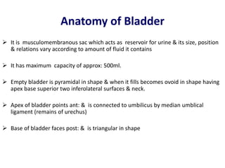 Non invasive bladder growth | PPTX