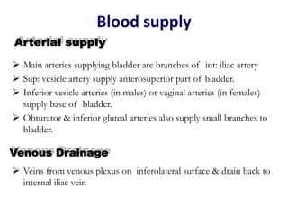 Non invasive bladder growth | PPTX
