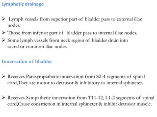 Non invasive bladder growth | PPTX