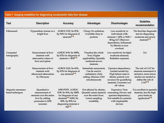 Non invasive modalities for diagnosis of NAFLD | PPTX