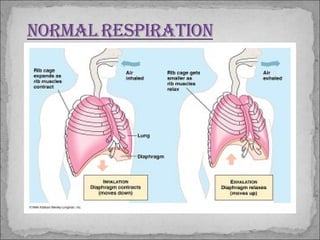 Non invasive ventilation | PPT