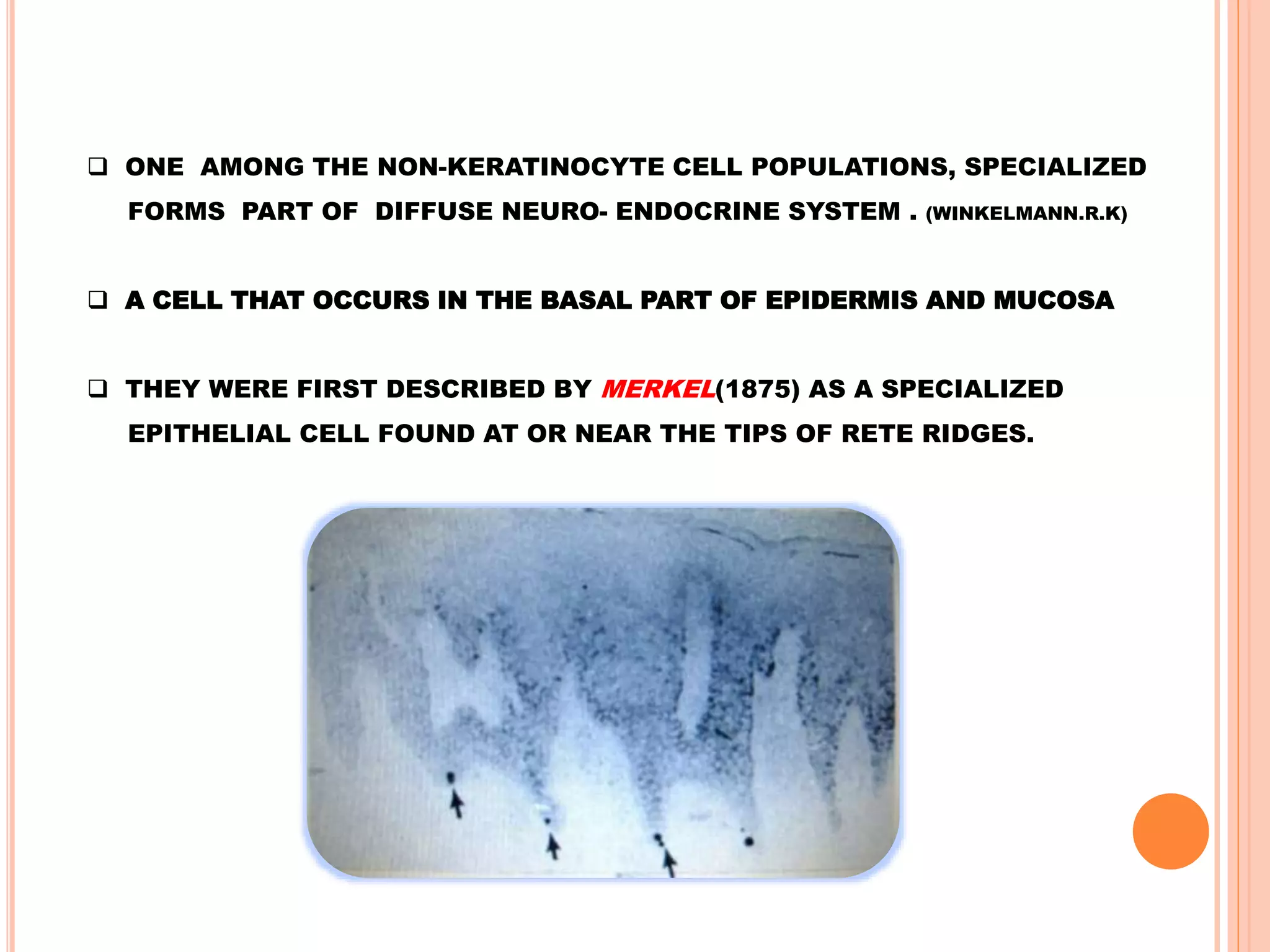 Non keratinocytes ppt | PPTX