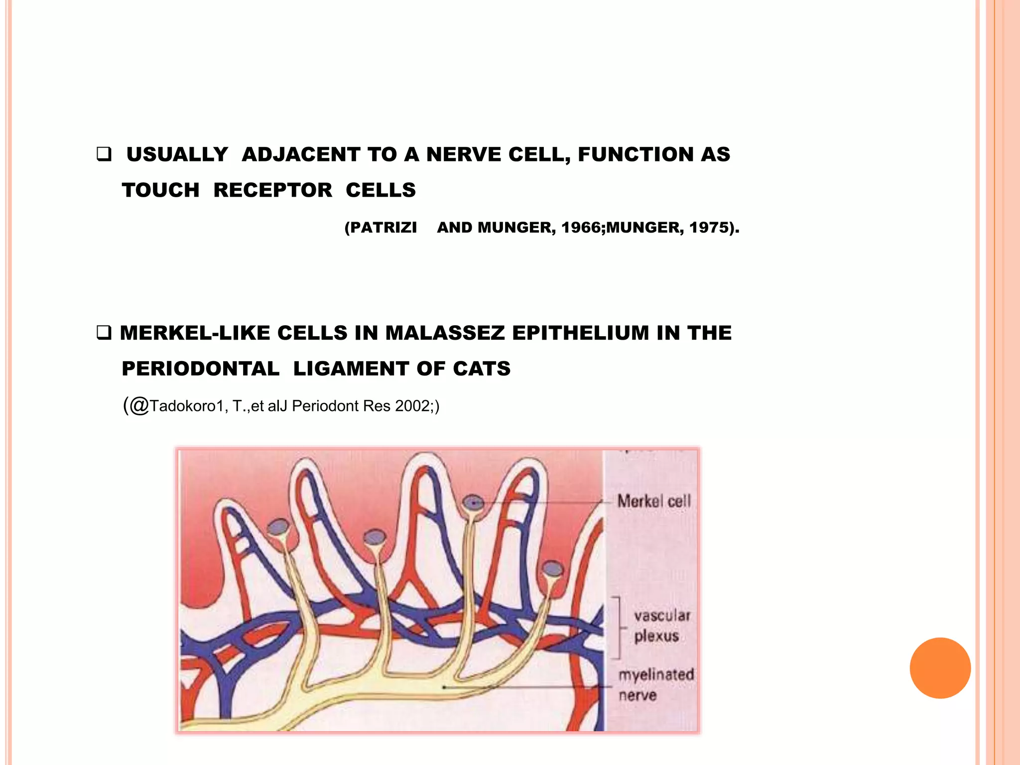 Non keratinocytes ppt | PPTX