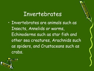 Animal Kingdom | PPT