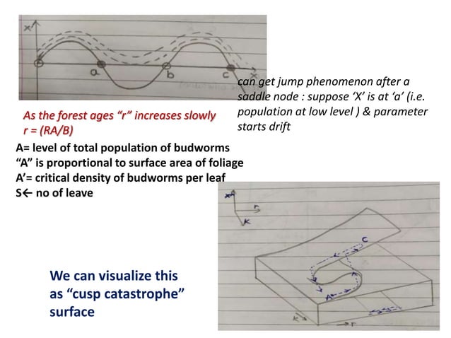 Non Linear Dynamics Basics and Theory | PPTX