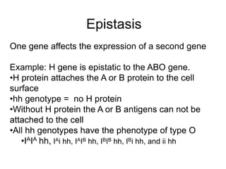 nonmedelian 2015 (1).ppt