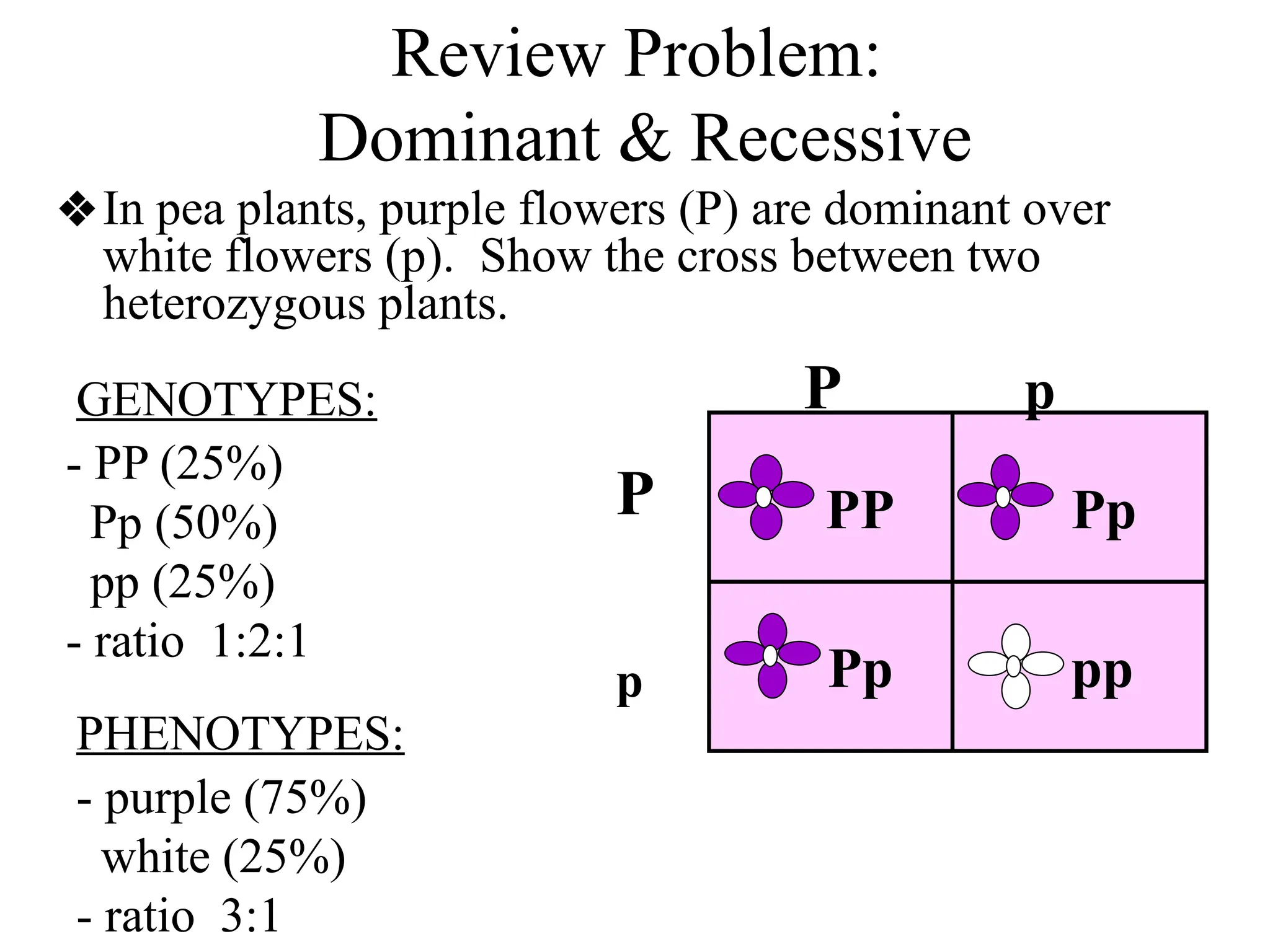 Non mendelian genetics.ppt.pptx presentation | PPT