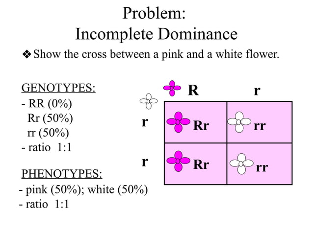 Non mendelian genetics.ppt.pptx presentation | PPT