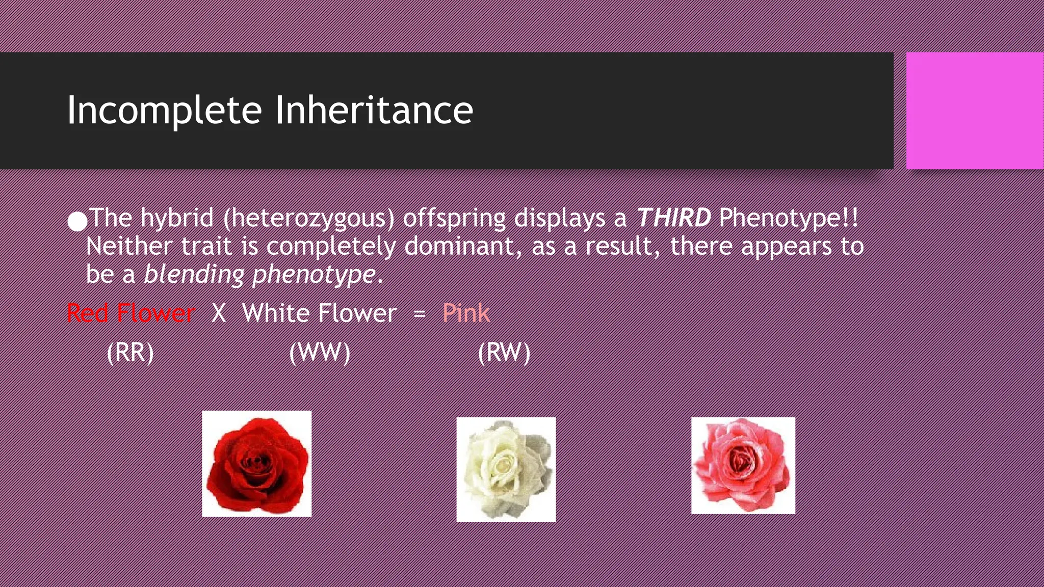 Non Mendelian Genetics (Students Copy).pptx