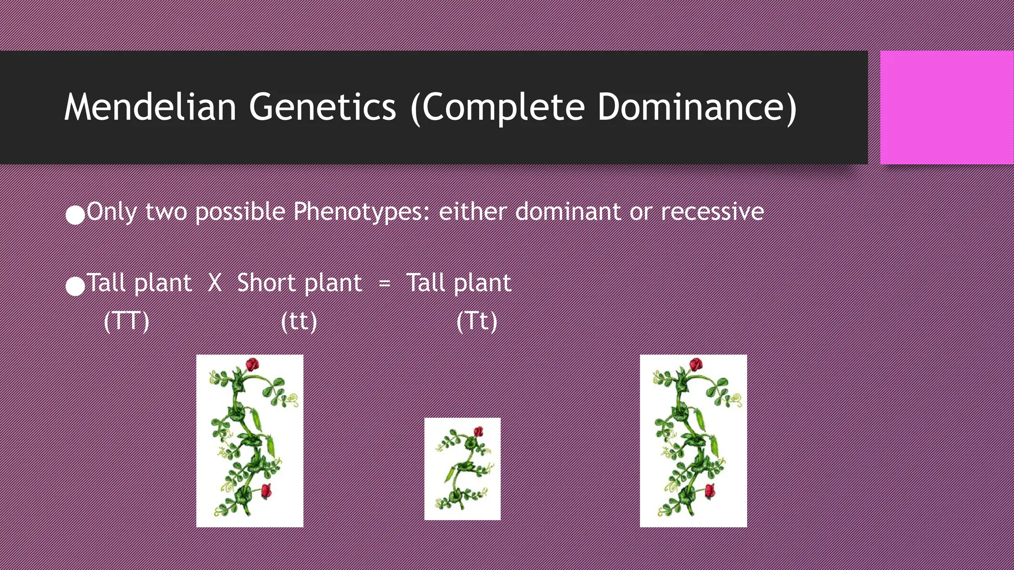 Non Mendelian Genetics (Students Copy).pptx