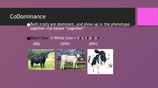 Non Mendelian Genetics (Students Copy).pptx