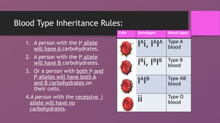 Non Mendelian Genetics (Students Copy).pptx