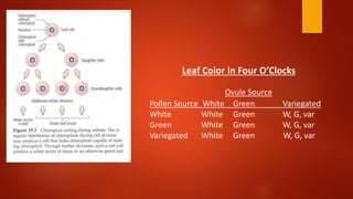 Non Mendelian inheritance | PPTX