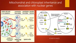 Non Mendelian inheritance | PPTX