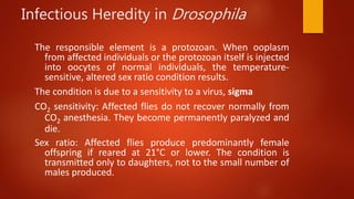 Non Mendelian inheritance | PPT