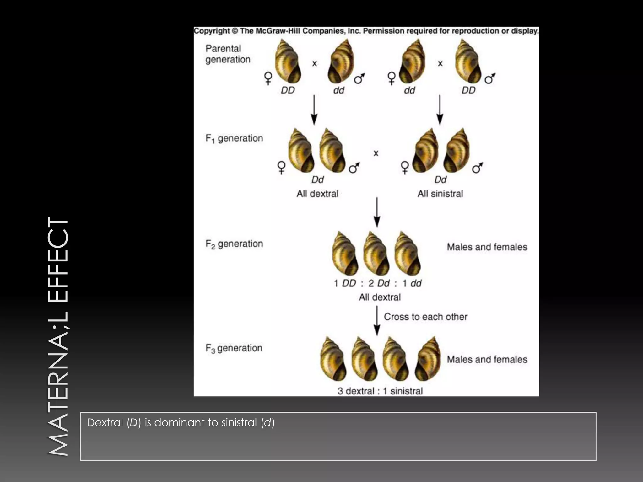Non mendelian inheritance | PPTX | Genetics | Science