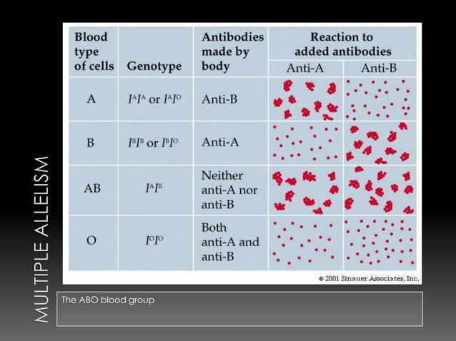 Non mendelian inheritance | PPTX | Genetics | Science